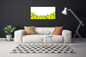 Obraz na plátně Květiny Příroda Tulipány 120x60 cm