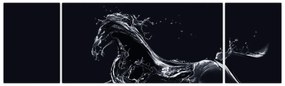 Obraz - Kůň a voda (170x50 cm)