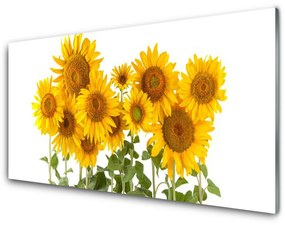 Obraz na skle Slunečnice 100x50 cm