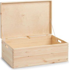Skladovací kontejner s víkem, organizátor 58 l, ZELLER