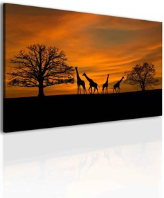 Malvis ® Obraz západ slunce na safari Velikost: 120x80 cm