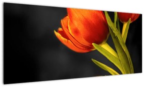 Obraz tulipánů (100x40cm)