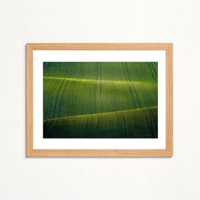 Vojta Herout | Moravian Manchester Rám: Černý, Velikost: 40 x 60 cm