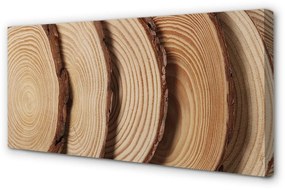 Obrazy na plátně plátky obilí dřeva 140x70 cm