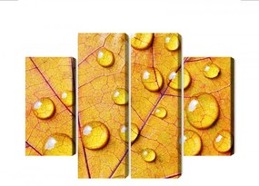 Vícedílný obraz Kapky Vody Na Podzimní Listí Makro Nedostatek Nedostatek Přírodní plátno 200x150