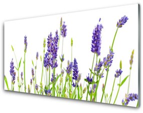 akrylový obraz Květiny 100x50 cm