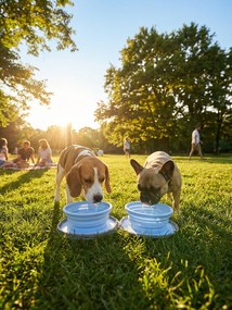 Sinsay - Skládací miska pro zvířata - modrá
