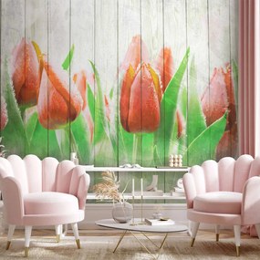Fototapeta Červené tulipány na dřevě - světlý květinový motiv na bílém dřevě