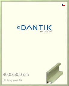 DANTIK rámeček 40x50 | ALU profil 6035 Dýha barevná zelená pastel (Plexi Čiré)
