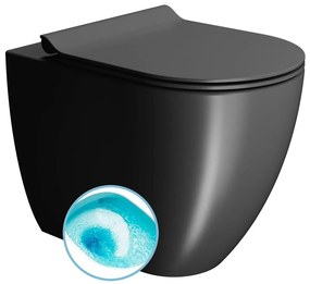 GSI PURA WC mísa stojící, Swirlflush, 36x55cm, spodní/zadní odpad, černá dual-mat 880326