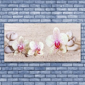 Plexisklo-obraz Orchidej Kameny Zen Písek 120x60 cm