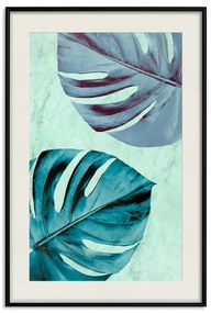 Plakát Tropická tyrkysová - zelené listy monstery v tyrkysové kompozici