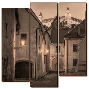 Obraz na plátně - Bratislava staré město s hradem vzadu- čtverec 3265FC (75x75 cm)