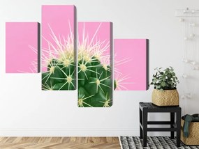 Vícedílný obraz Kaktus Na Růžovém Pozadí Nedostatek Nedostatek Přírodní plátno 120x75