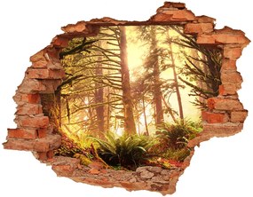 Wallmuralia Díra 3D ve zdi nálepka Deštný prales 90x70 cm