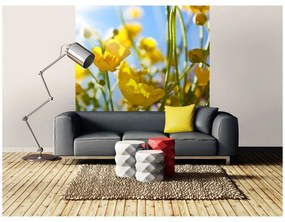 DIMEX | Vliesová fototapeta na zeď Žluté květiny MS-3-0134 | 225 x 250 cm | žlutá, zelená, modrá