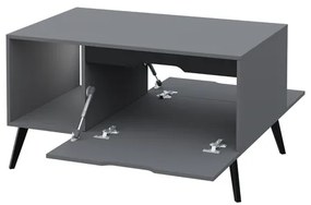 Konferenční stolek Motez, Barva dřeva: šedá / šedá + černá