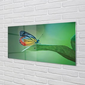 akrylový obraz Barevný motýl křídlo 140x70 cm