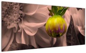Obraz rostliny (100x40cm)