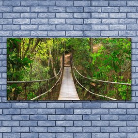 Plexisklo-obraz Most Džungle Tropický Les 120x60 cm