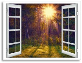 3D obraz ráno v okně Velikost (šířka x výška): 120x90 cm
