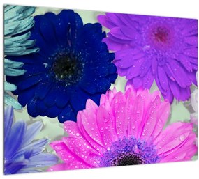 Skleněný obraz barevných květin (70x50 cm)