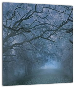 Obraz lesa v mlze (30x30 cm)