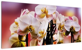 Obraz květy (100x40cm)