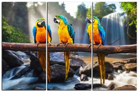 Obraz na plátně - Modro žluté Macaw 1232B (105x70 cm)