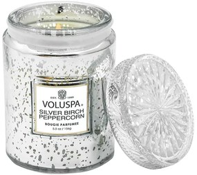 Voluspa – vonná svíčka Silver Birch Peppercorn (Stříbrná bříza a pepř), 156 g