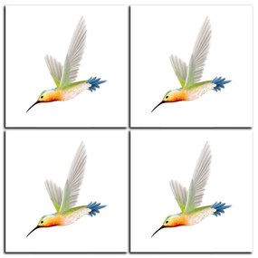 Obraz na plátně - Kolibřík na bílém pozadí - čtverec 389C (60x60 cm)