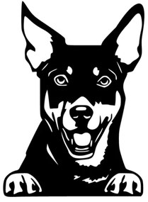 Samolepka pes Australská kelpie