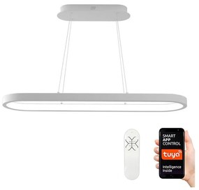 Immax NEO 07077L - LED Stmívatelný lustr na lanku HIPODROMO LED/66W/230V Tuya
