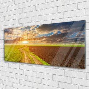 akrylový obraz Pole Nebe Slunce Příroda 125x50 cm