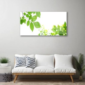 Obraz na skle Plátky Rostlina Příroda 125x50 cm