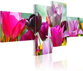 Obraz - Růžové tulipány