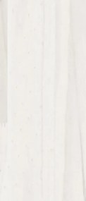 vidaXL Zahradní truhlík 60 x 31 x 31 cm masivní borovice [810706] Barva: Bílá