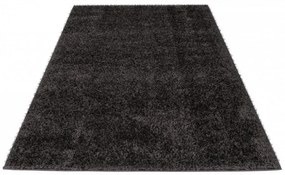 Obsession koberce Kusový koberec Emilia 250 graphite - 160x230 cm