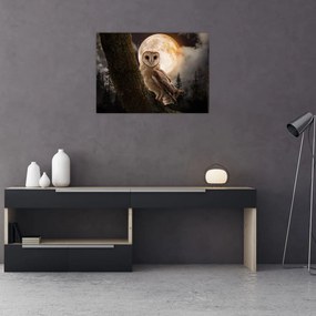 Obraz sovy pálené (70x50 cm)