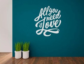 Samolepky na zeď - All you need is love Barva: Zelená světlá, Velikost: 60x68 cm