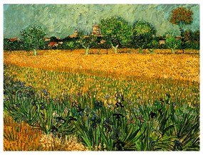 Reprodukce obrazu Vincenta van Gogha - View of arles with irises in the foreground, 40 x 30 cm