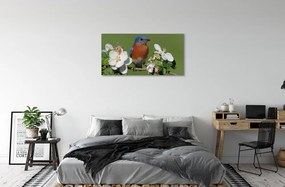 Obrazy na plátně Květiny barevné papoušek 120x60 cm