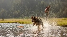 Ruffwear Hydro Plane Campfire Orange M / Hračka pro psy