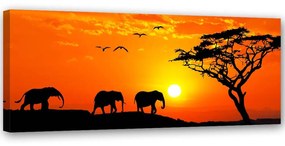 Gario Obraz na plátně Panorama africké savany Rozměry: 90 x 30 cm