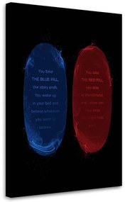 Gario Obraz na plátně Modrá a červená pilulka - Nikita Abakumov Rozměry: 40 x 60 cm
