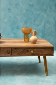 Konferenční stolek v tmavě přírodní barvě 59x110 cm Frida – Premier Housewares