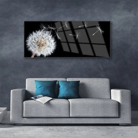 akrylový obraz Pampeliška Květiny Příroda 125x50 cm