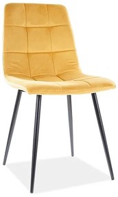 Jídelní čalouněná židle MAJA VELVET žlutá curry/černá