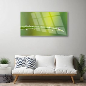 Plexisklo-obraz Kapka Rosy na Trávě 100x50 cm