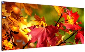 Podzimní listí, obraz (100x40cm)